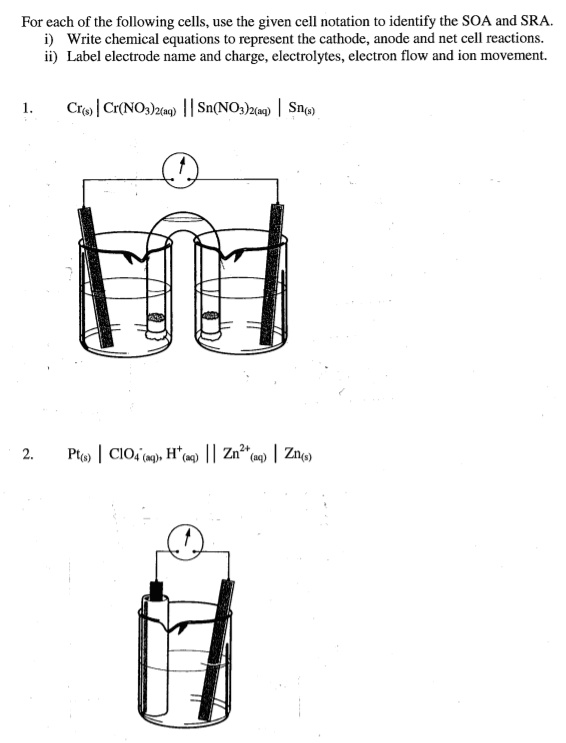 SOLVED: For each of the following cells, use the given cell notation to identify the SOA and SRA ...