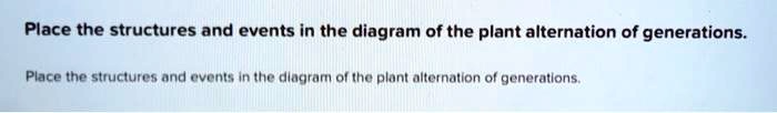 place the structures and events in the diagram of the plant alternation ...