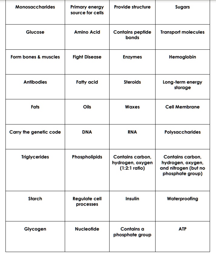 monosaccharides primary energy source for cells provide structure ...