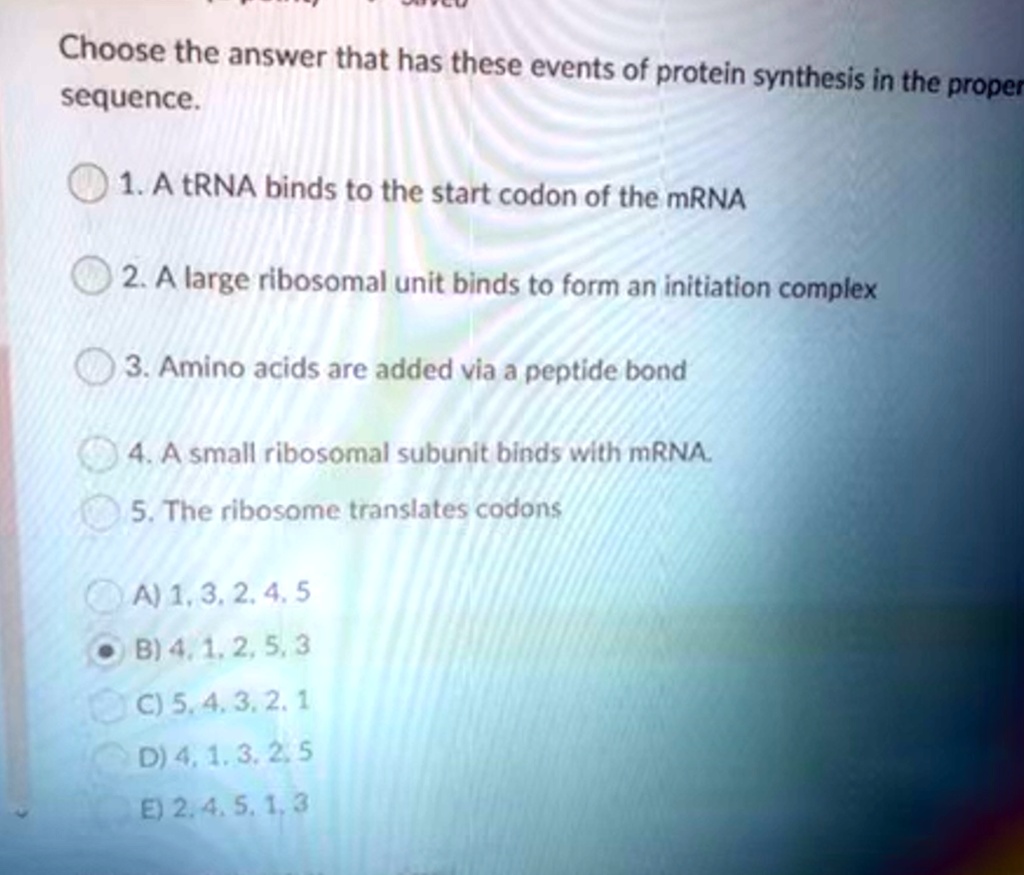 SOLVED: Choose the answer that has these events of protein= sequence. synthesis in the proper 1 ...