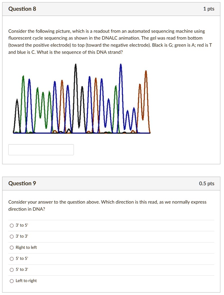 SOLVED: Question 8 1 pt Consider the following picture, which is ... SOLVED: Question 8 1 pt Consider the following picture, which is ...