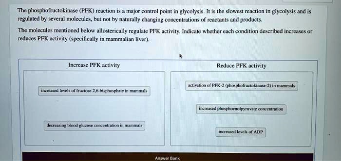 SOLVED:The phospholructokinase (PFK) reaction is major control point ...