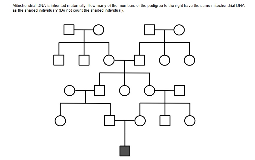 SOLVED: Mitochondria DNA is inherited maternally: How many of the ...