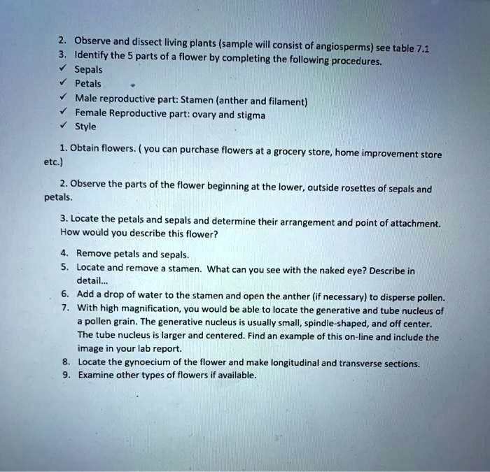 2 observe and dissect living plants sample will consist of angiosperms ...