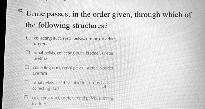 [GET ANSWER] 30) Urine passes, in the order given, through which of the following structures ...