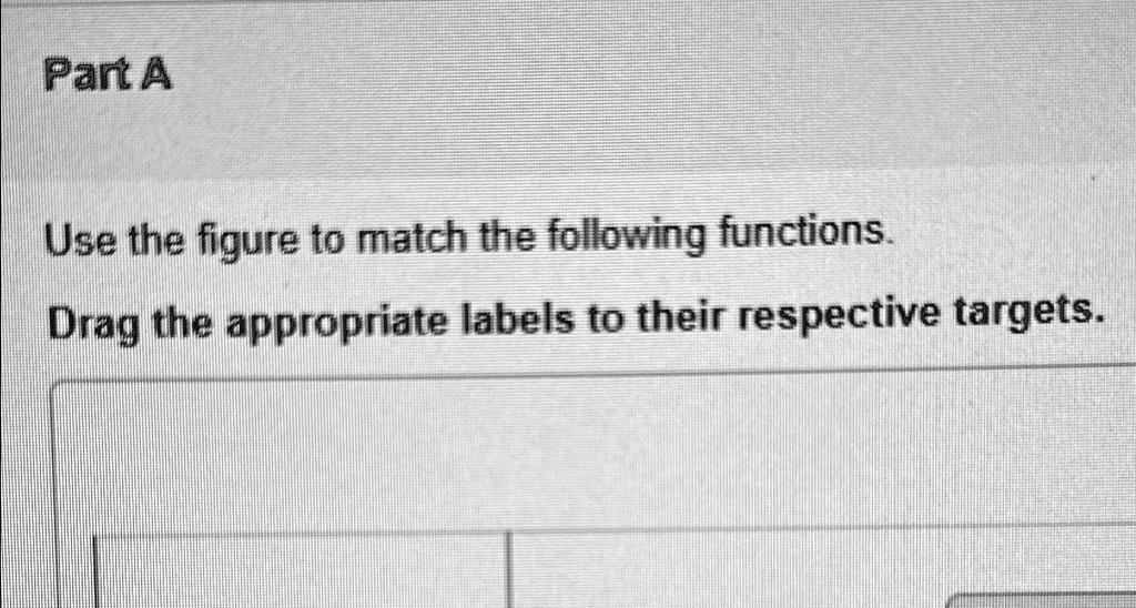 Part A Use the figure to match the following functions. Drag the ...