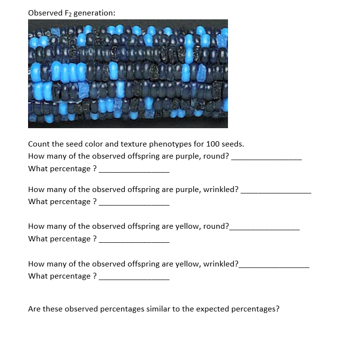 SOLVED: Observed Fz generation: Count the seed color and texture ...