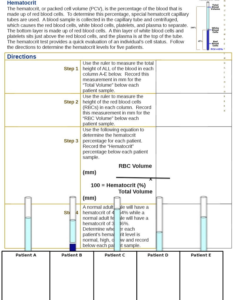 hematocrit the hematocrit or packed cell volume pcv is the percentage ...