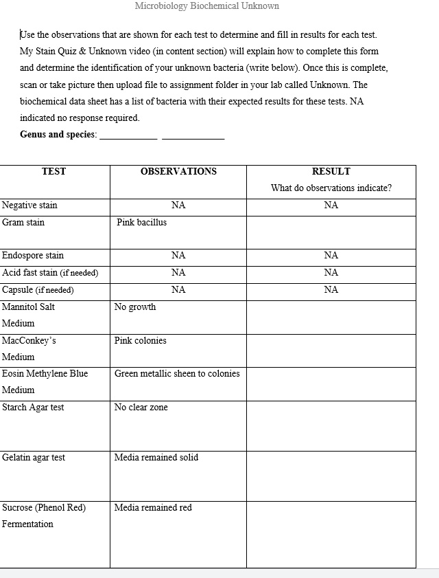 Microbiology Biochemical Unknown Use the observations that are shown ...