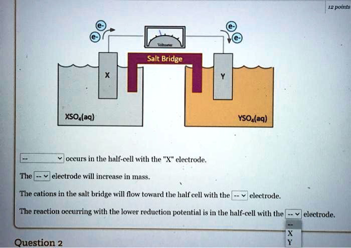 SOLVED:pomts Salt Bridge XSO (aq) YSOs(eq) occurs in the half-cell with ...
