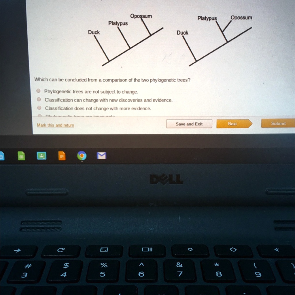 Consider these Phylogenetic trees. The first tree is based on physical ...