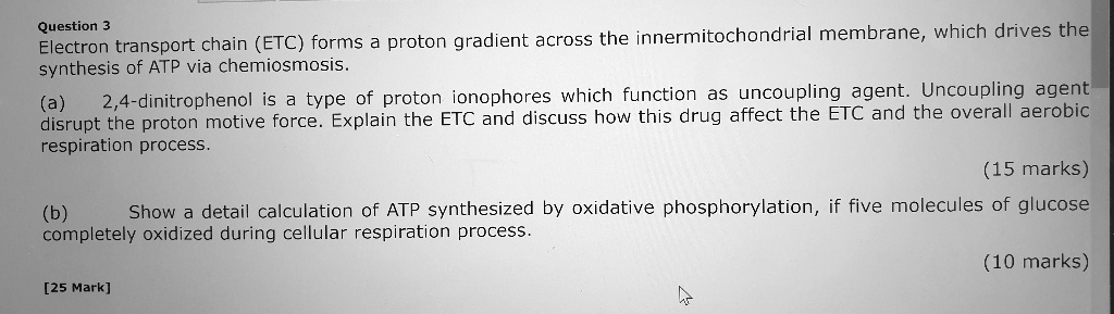 SOLVED: Question 3 chain (ETC) forms proton gradient across the ...