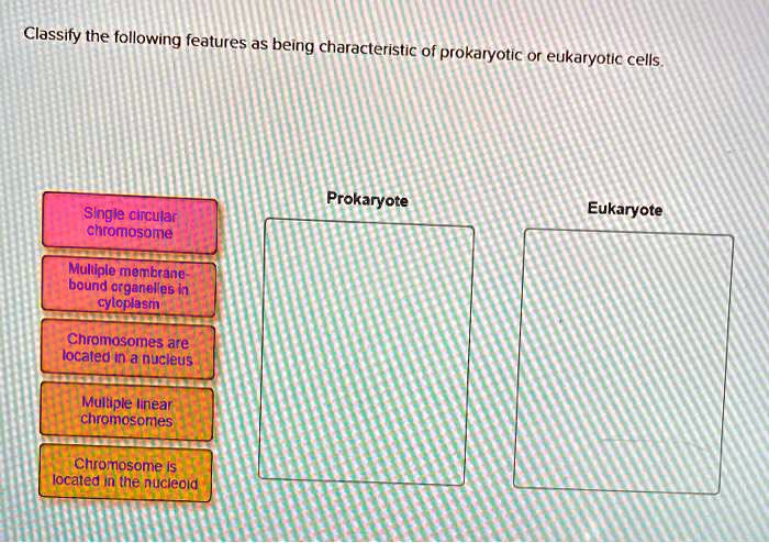 SOLVED: Classify the following features as being characteristic of ... SOLVED: Classify the following features as being characteristic of ...