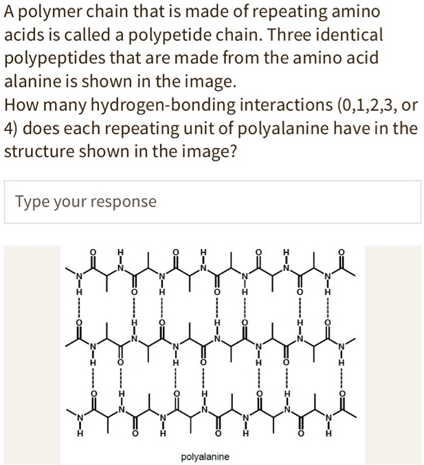 SOLVED:polymer chain thatis made ofrepeating amino acids is called a ...