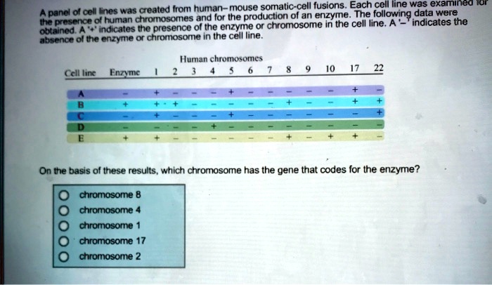 A panel of cell lines was created from human-mouse somatic-cell fusions ...