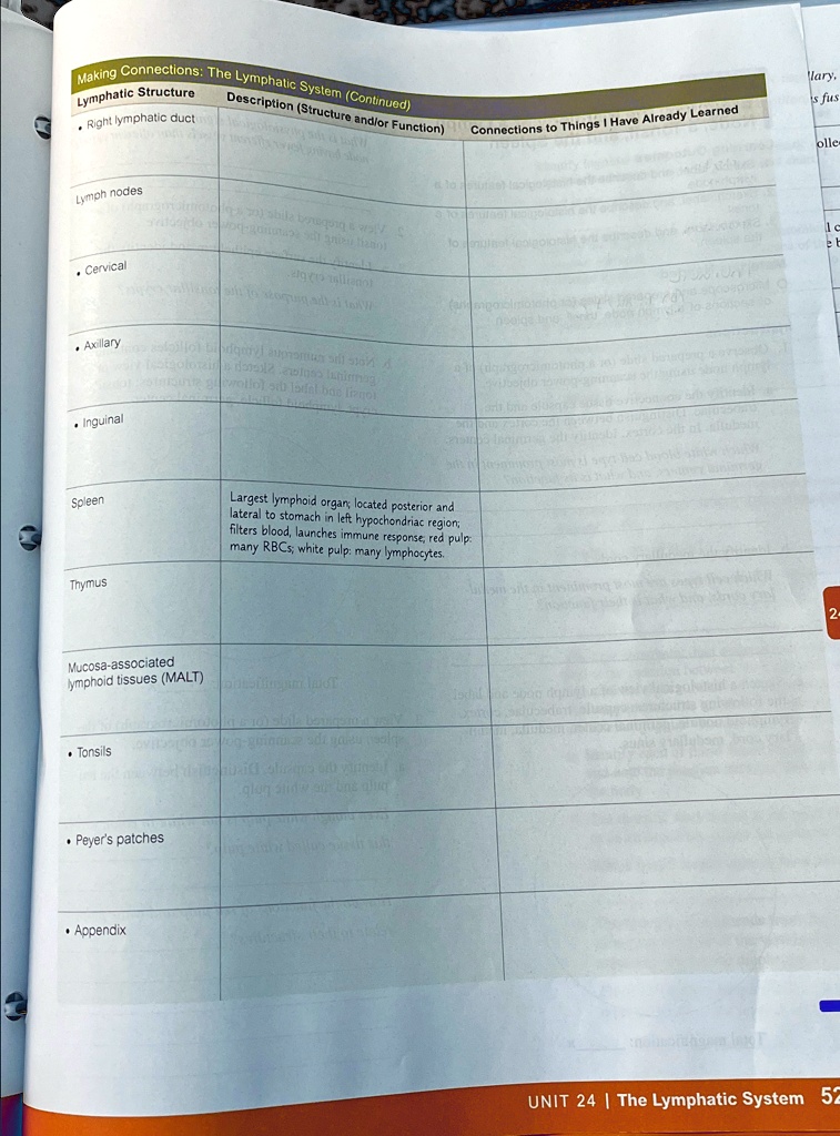 SOLVED: Peyer's patches Appendix UNIT 24 | The Lymphatic System Right ...
