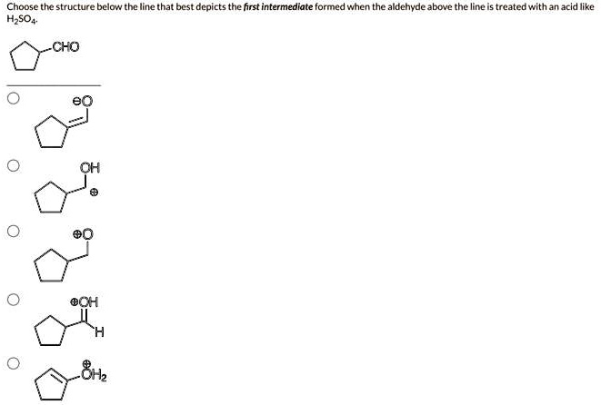 SOLVED: Choose the structure below the line that best depicts the first ...