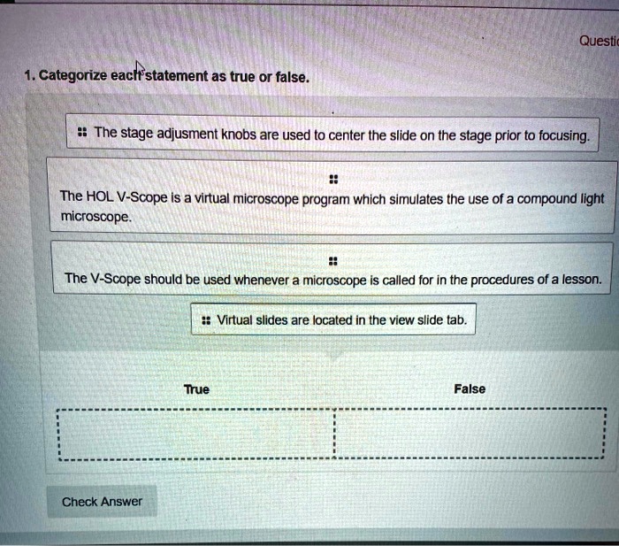 SOLVED: Categorize each statement as true or false. The stage ...