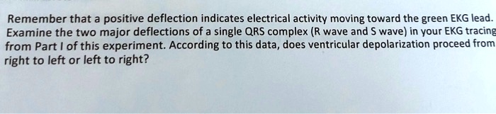 SOLVED: Remember that a positive deflection indicates electrical ...
