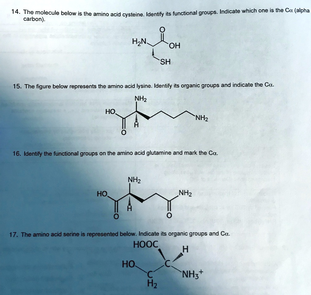SOLVED: 14 The molecule below is the amino acid cysteine. Identify its ...