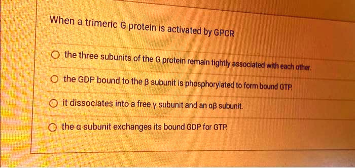 When a trimeric G protein is activated by GPCR the three...