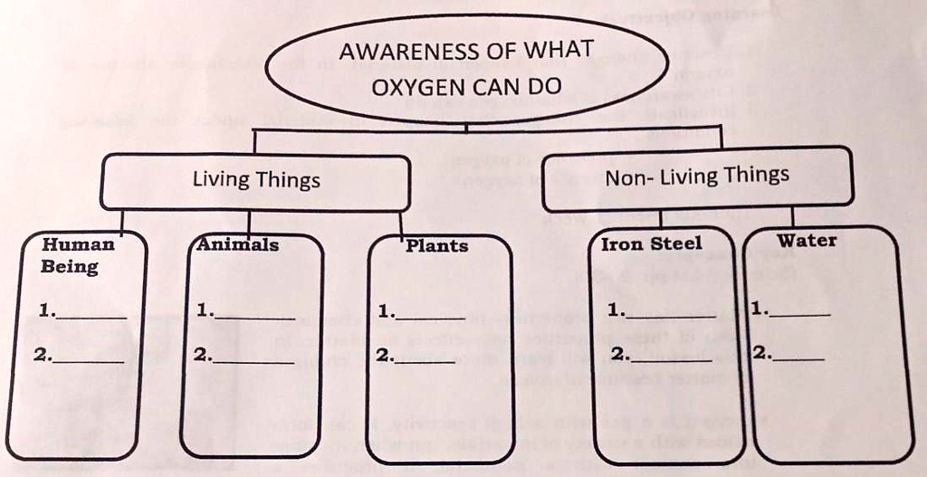AWARENESS OF WHAT OXYGEN CAN DO Living Things Human Being Animals Non ...