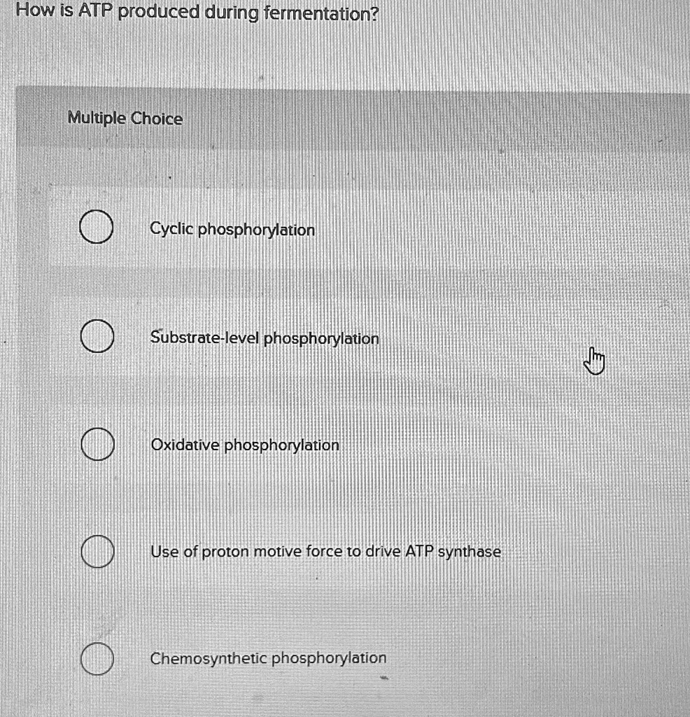 SOLVED: How is ATP produced during fermentation? Multiple Choice Cyclic phosphorylation ...