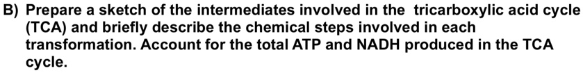 b prepare a sketch of the intermediates involved in the tricarboxylic ...