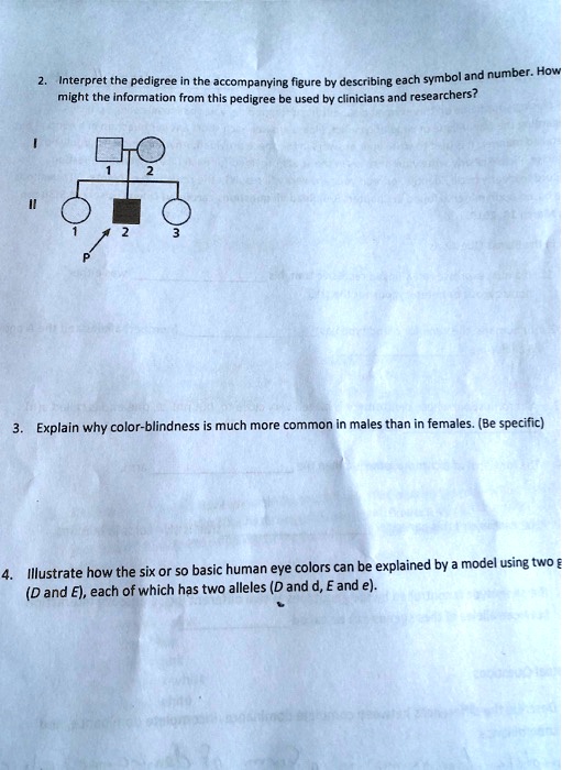 SOLVED: and number. How Interpret the pedigree accompanying figure ...