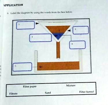 SOLVED: A. Label the diagram using the words from the box below. Filter ...