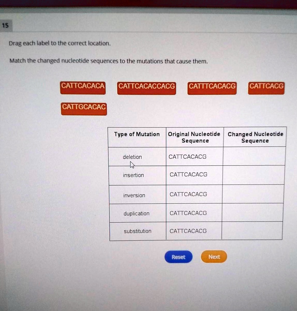 15 Drag each label to the correct location. Match the changed nucleotide sequences to the ...