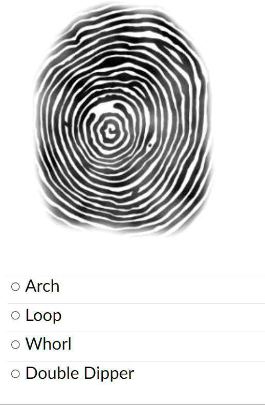 SOLVED: 'which type of fingerprint is shown below? (attachment) Arch ...