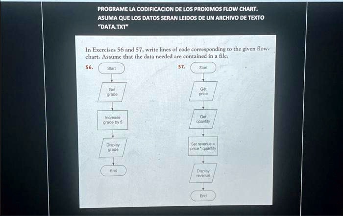 SOLVED: Texts: PROGRAMA LA CODIFICACIÓN DE LOS PRÓXIMOS DIAGRAMAS DE ...