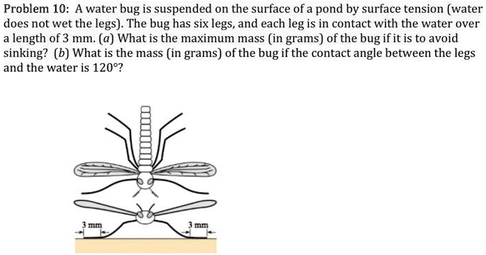 SOLVED: Problem 10: A water bug is suspended on the surface of a pond ...