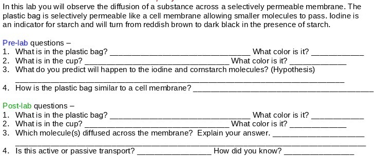 In this lab you will observe the diffusion of a substance across a ...