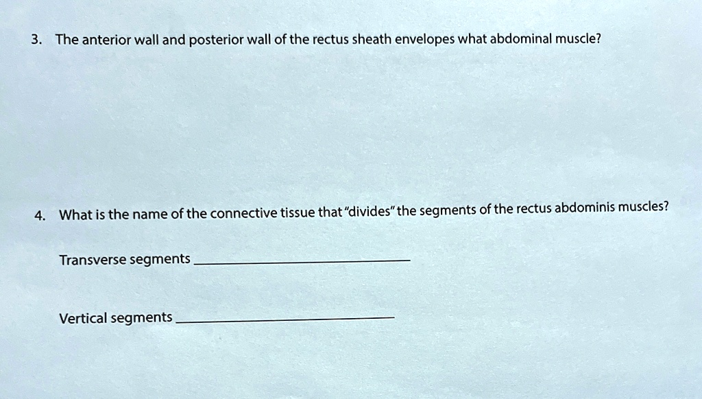 3. The anterior wall and posterior wall of the rectus sheath envelopes ...