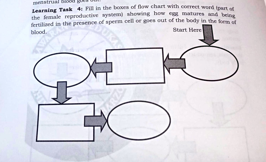 SOLVED: Learning task 4: Fill in the boxes of the flow chart with the ...