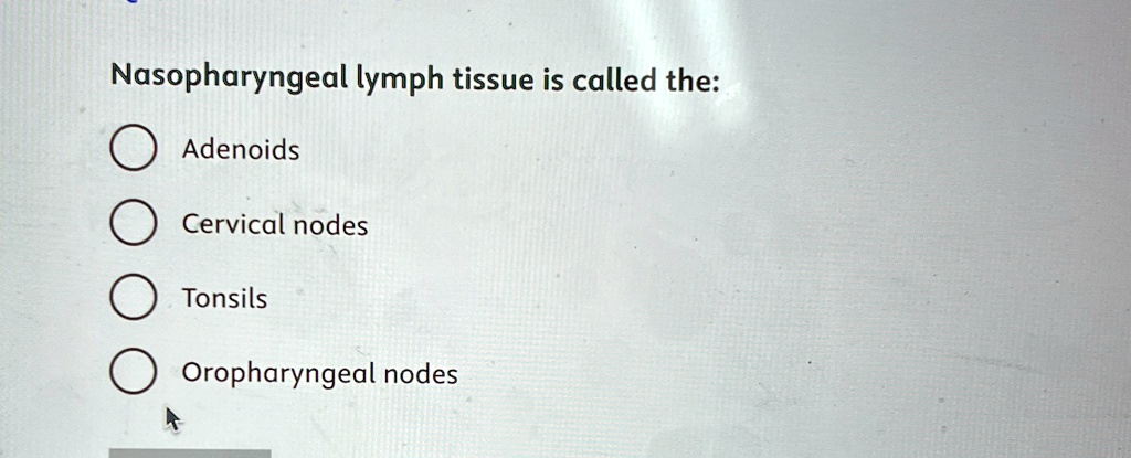 nasopharyngeal lymph tissue is called the adenoids cervical nodes ...