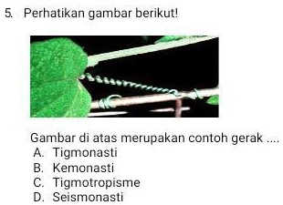 SOLVED: plisssssssss jawab!!!!!!!!! Perhatikan gambar berikut! Gambar ...