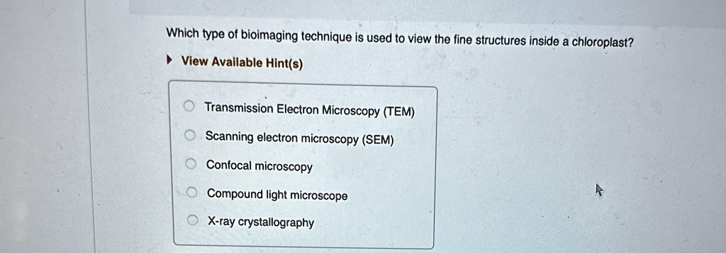 which type of bioimaging technique is used to view the fine structures ...