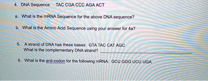 dna sequence tac cga ccc aga act what is the mrna sequence for the ...