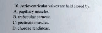 10. Atrioventricular valves are held closed by: A. papillary muscles. B ...