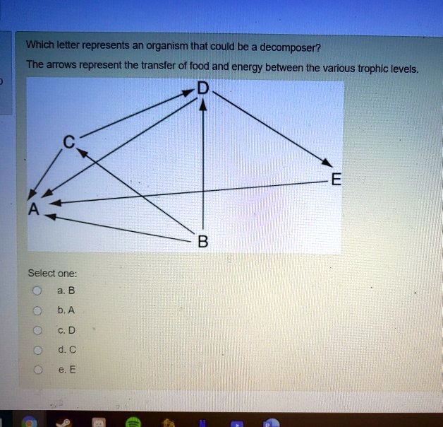 SOLVED: Which letter represents an organism that could be a decomposer ...