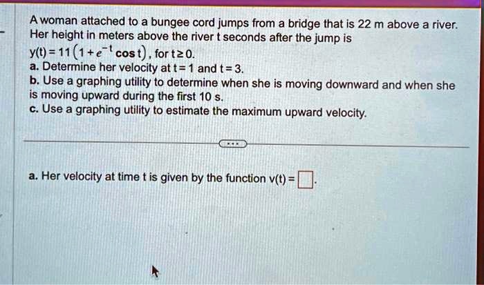 Solved A C Pls A Woman Attached To A Bungee Cord Jumps From A Bridge That Is 22 M Above A River