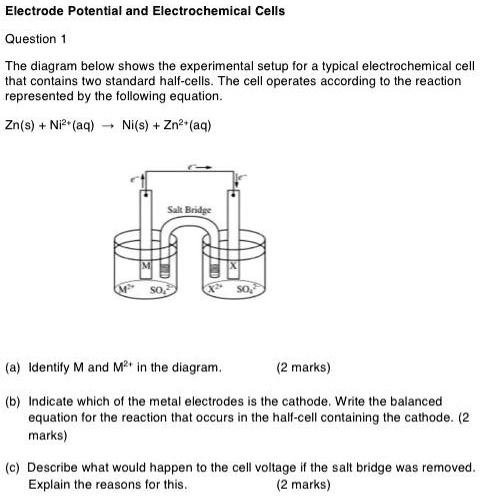Electrode Potential and Electrochemical Cells Question 1 The diagram ...