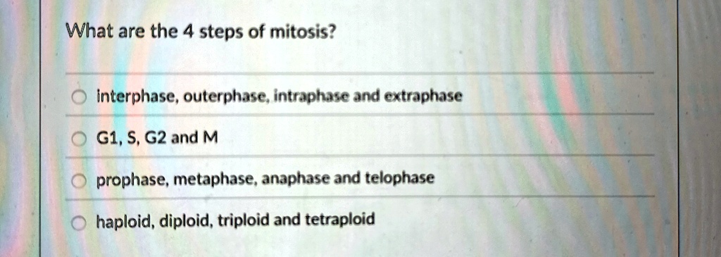 What are the 4 steps of mitosis? interphase, outerphase, intraphase and ...