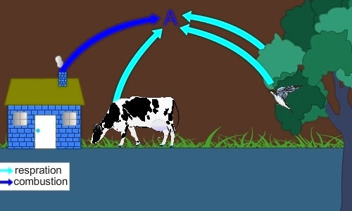 SOLVED: Sean drew this diagram and labeled an unknown gas as gas A ...