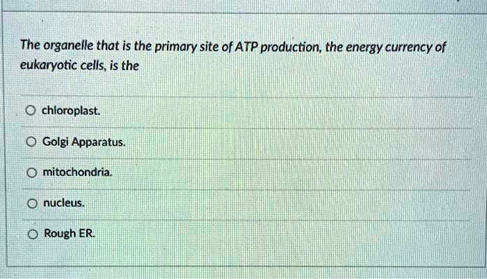 SOLVED: The organelle that is the primary site of ATP production; the ...