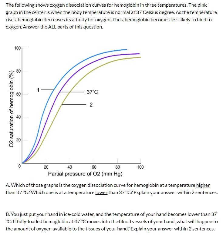 SOLVED: The following shows oxygen dissociation curves for hemoglobin ...