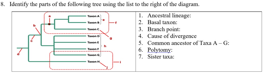 identify the parts of the following tree using the list to the right of ...